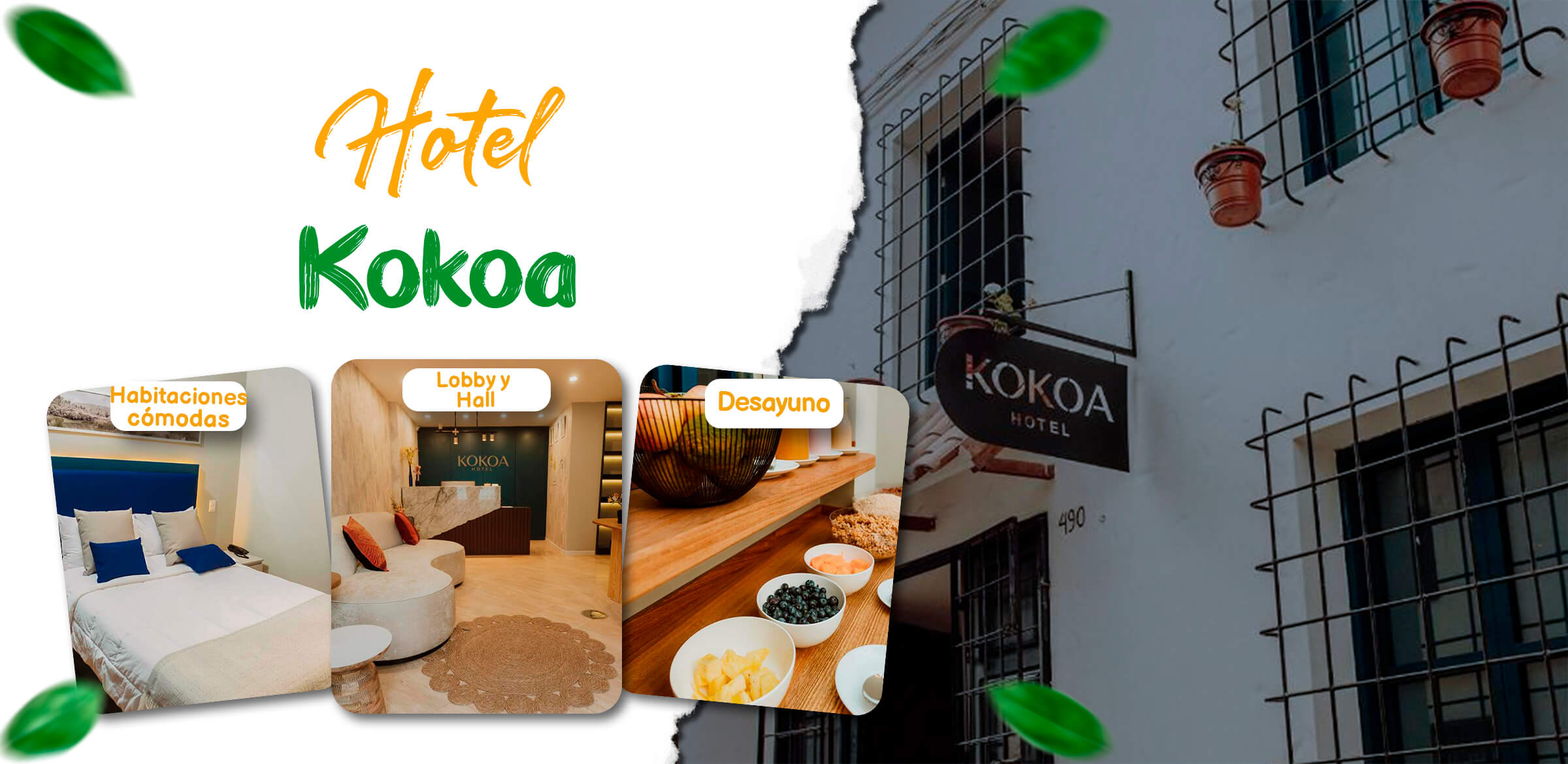 Kokoa | IBtravel